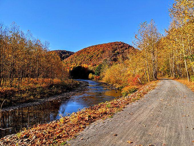 Fall in Pennsylvania's Grand Canyon isn't playing around&mdash;Mother Nature cranks the color saturation to levels that would make Instagram jealous.