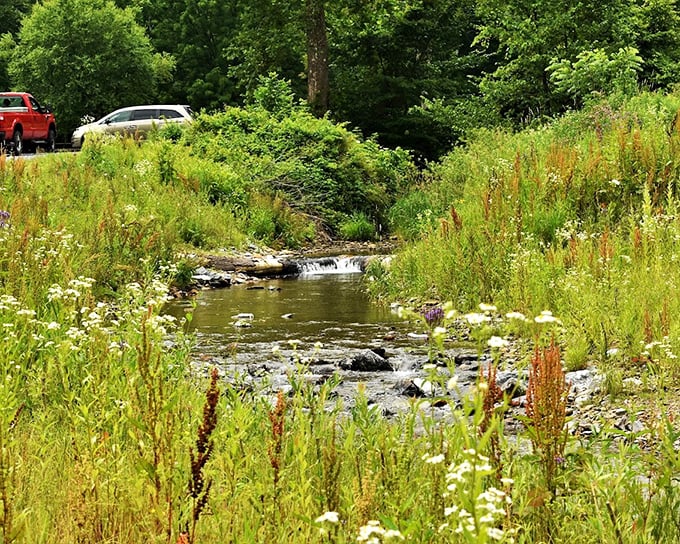 Nature's own meditation app: a gentle stream meandering through wildflowers, no subscription required.