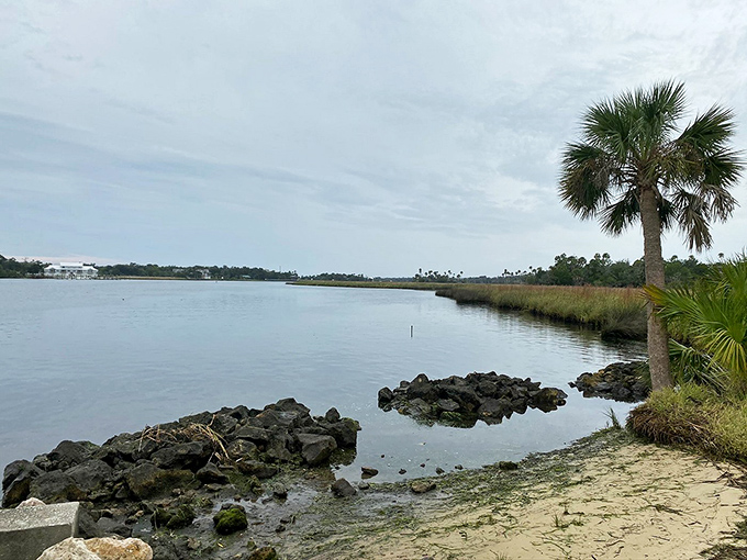 Crystal-clear waters that have been reflecting Florida skies since before anyone thought to Instagram them.