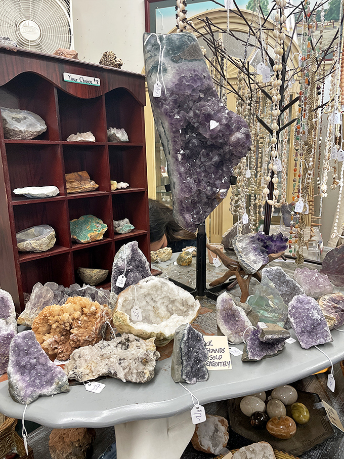 Nature's artwork on full display! These amethyst geodes and crystals transform a simple shopping trip into a museum-worthy expedition.