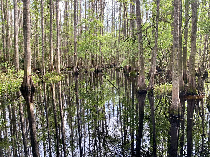 Mirror-perfect waters reflect a world where time moves at nature's unhurried pace.
