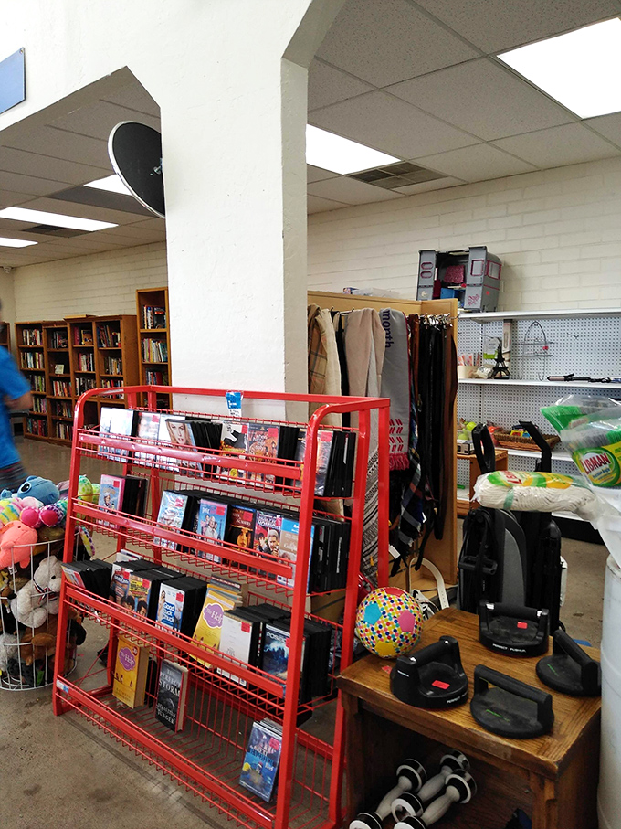 The literary corner meets media center. One person's discarded DVD collection becomes another's weekend marathon of forgotten classics.