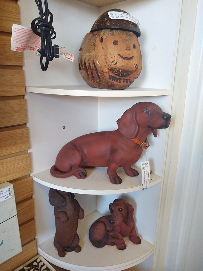 The dachshund dynasty! This shelf of sausage-shaped canines proves that someone's collection becomes another's treasure. That coconut with "HAVE FUN" might be the store's unofficial mascot.