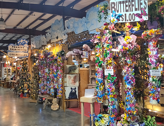 Butterfly heaven! This explosion of color transforms ordinary space into something magical. Like stepping into a kaleidoscope where everything costs just a dollar.