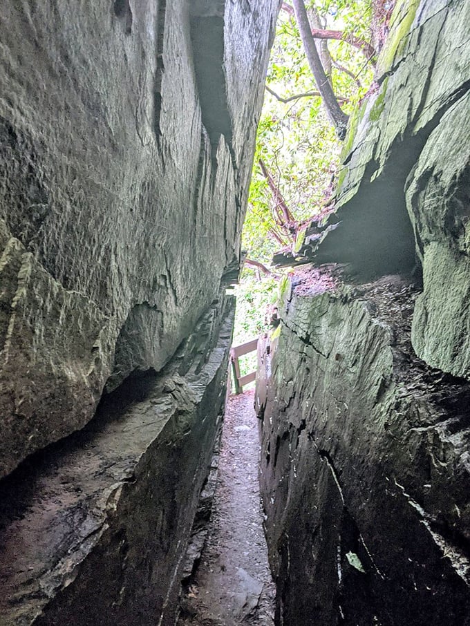 Nature's hallway: the Devil's Kitchen squeezes visitors between ancient rock walls. Claustrophobics beware, but adventure seekers will find this geological sandwich utterly fascinating.