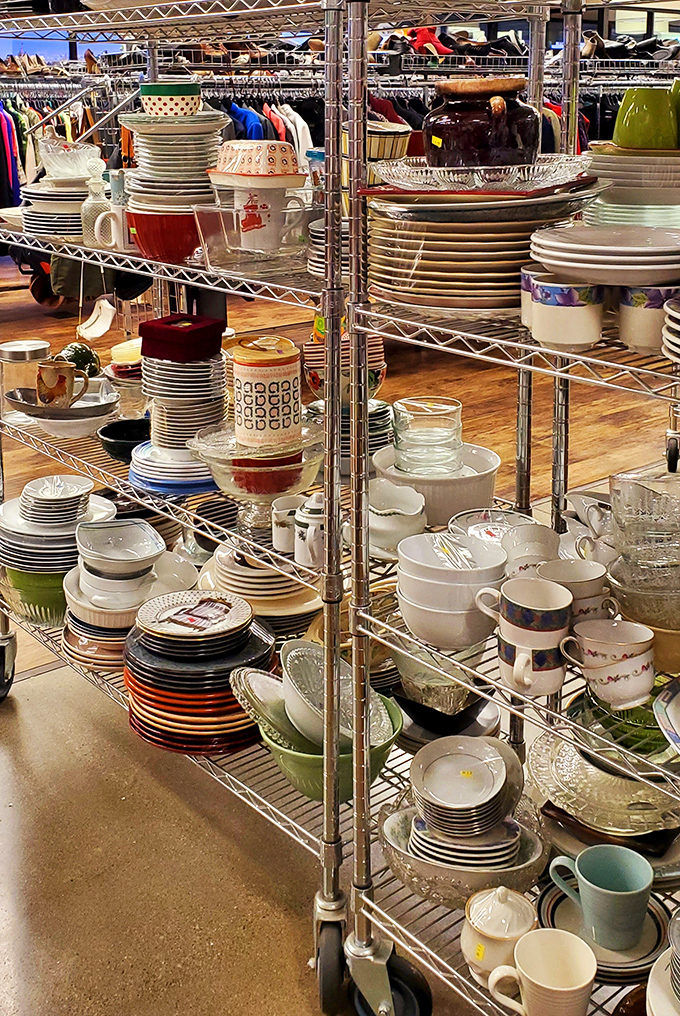 Dish paradise! Every plate tells a story here—from grandma's forgotten china to that funky 70s pattern you secretly covet.