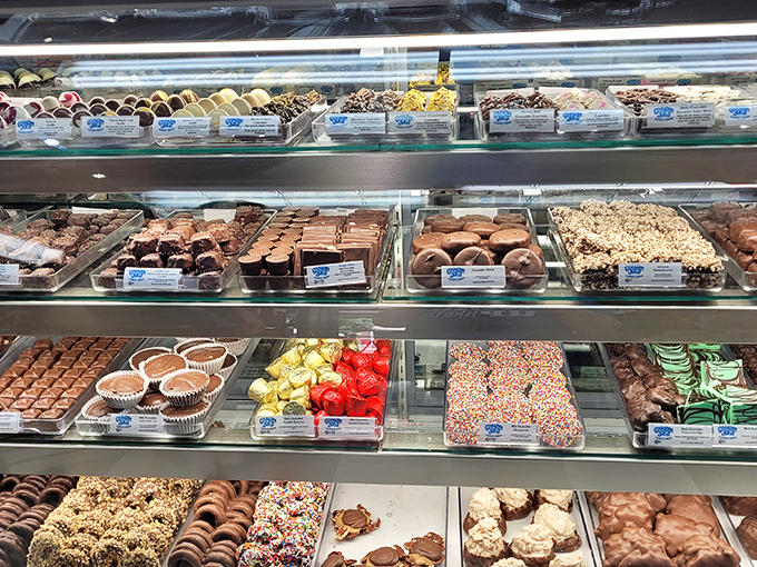 The menu board reads like a dissertation on American candy culture, minus the boring academic parts.