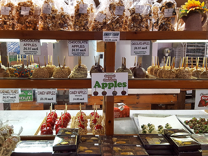 Decisions, decisions! The candy apple display offers everything from classic caramel to elaborate creations that transform simple fruit into edible art.