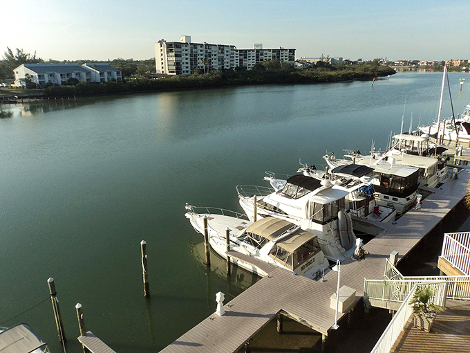Marina life at its finest - where every boat tells a story and sunset cocktails are practically mandatory.