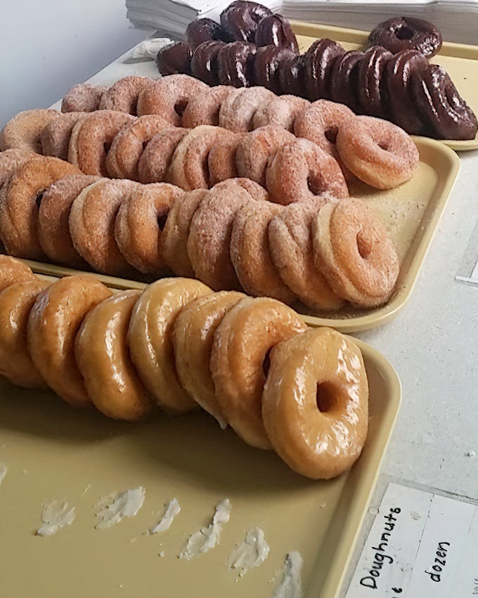 The holy trinity of donut perfection: cinnamon-sugar, chocolate-glazed, and classic glazed &ndash; lined up like delicious soldiers ready for duty.