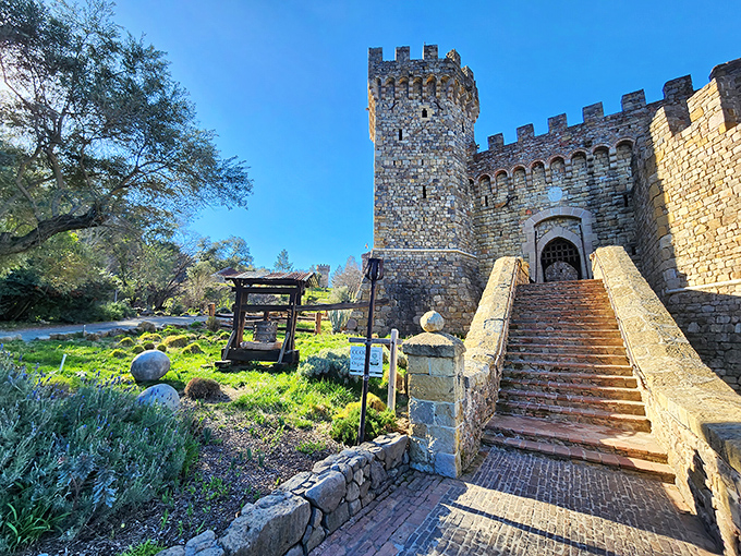 These stone steps have never seen a knight in shining armor, but they've welcomed thousands of wine enthusiasts seeking liquid gold.