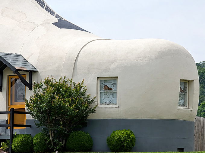 The curved walls and stained glass windows add unexpected elegance to what could have been just a novelty. It's like Cinderella's slipper got an extreme makeover.