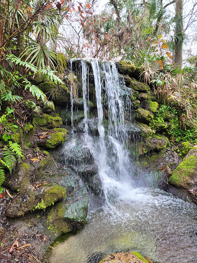 This man-made waterfall has gone native, wearing its moss like a well-earned green velvet jacket. Nature's renovation skills at their finest.