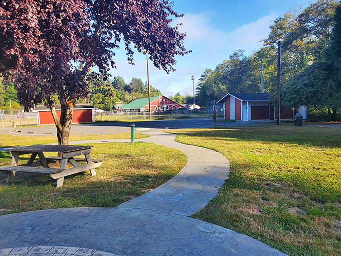 A peaceful corner of Firemen's Park offers the perfect spot for contemplation or a picnic under leafy guardians.