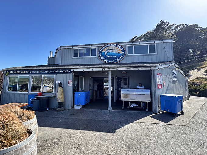 Fisherman's Cove stands as a testament to Bodega Bay's working harbor roots. Fresh seafood doesn't get more authentic than straight from these docks!
