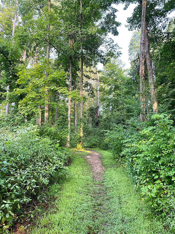 Follow this path and discover why GPS can't navigate you to inner peace.