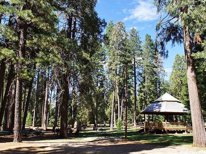 Towering pines create nature's perfect picnic spot at Leroy E. Botts Memorial Park. The gazebo isn't just for show&mdash;it's saved many a family gathering from unexpected Sierra showers.
