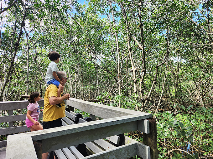 Four Mile Cove Ecological Preserve offers a glimpse of pre-development Florida. Nature's air conditioning works perfectly under the mangrove canopy.