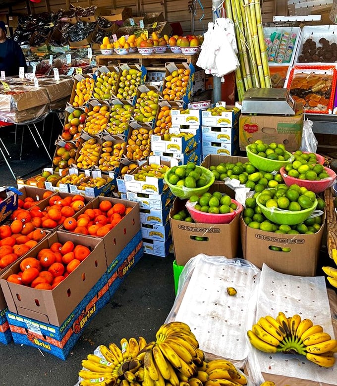 Nature's color palette on full display. These fruits aren't just fresh&mdash;they're practically introducing themselves by first name and hometown. 