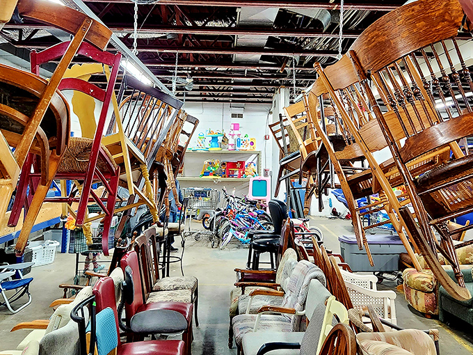 The chair forest: where wooden seats hang like strange fruit, waiting for someone to rescue them from their upside-down existence.