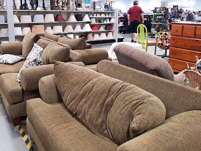 The sofa section: where someone else's "I've changed my mind" becomes your "I can't believe my luck!" Comfort archaeology at its finest.