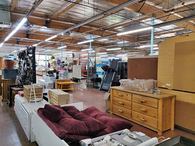 A burgundy futon dreams of its next living room while pine dressers stand at attention, ready for their second act in someone's bedroom.