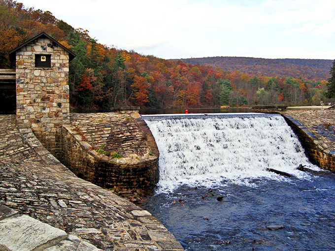 Nature's artistry on full display at Greenwood Dam, where autumn foliage creates a kaleidoscope of colors reflected perfectly in the cascading waters below.