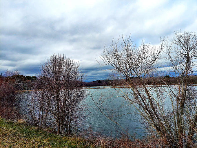 Nature doesn't need Instagram filters. This serene waterscape at Heron Park offers a peaceful counterpoint to downtown's gentle bustle.