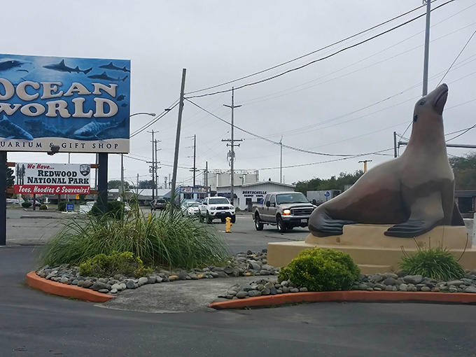 Where else does a sea lion statue guard the entrance to your local aquarium? Ocean World delivers maritime magic without metropolitan prices.