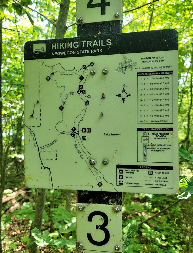 Nature's GPS system&mdash;slightly more reliable than that time your phone sent you to a cornfield instead of the concert venue.