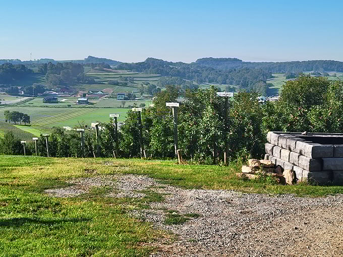 The rolling hills of Holmes County create a landscape so perfectly pastoral, it's like someone took every country song about home and turned it into scenery.