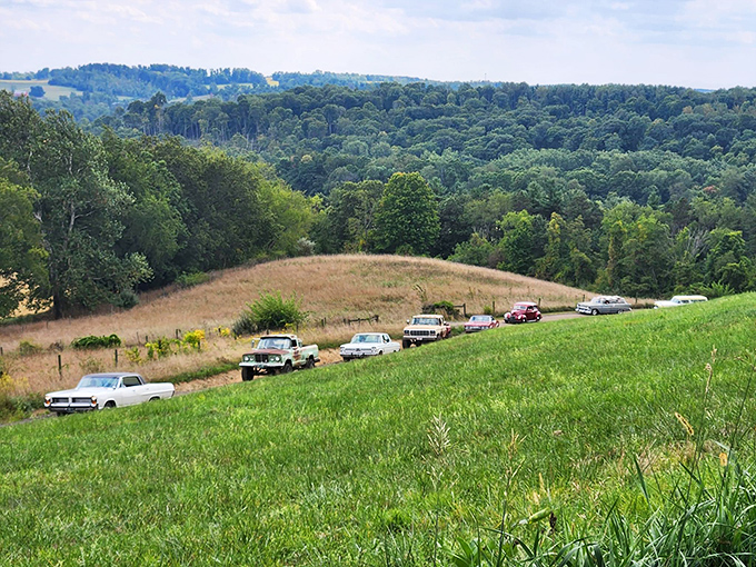 Classic cars line up for the best view in town. Even automobiles appreciate a good sunset in these parts.