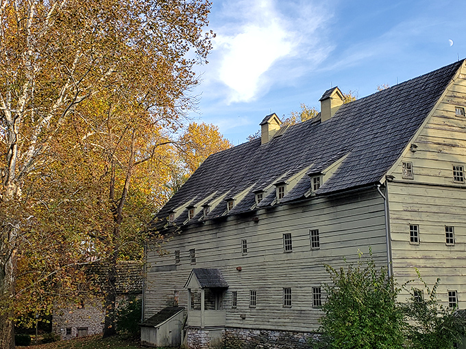 The historic Ephrata Cloister stands as a testament to craftsmanship and devotion, its weathered wood telling stories that predate our nation.
