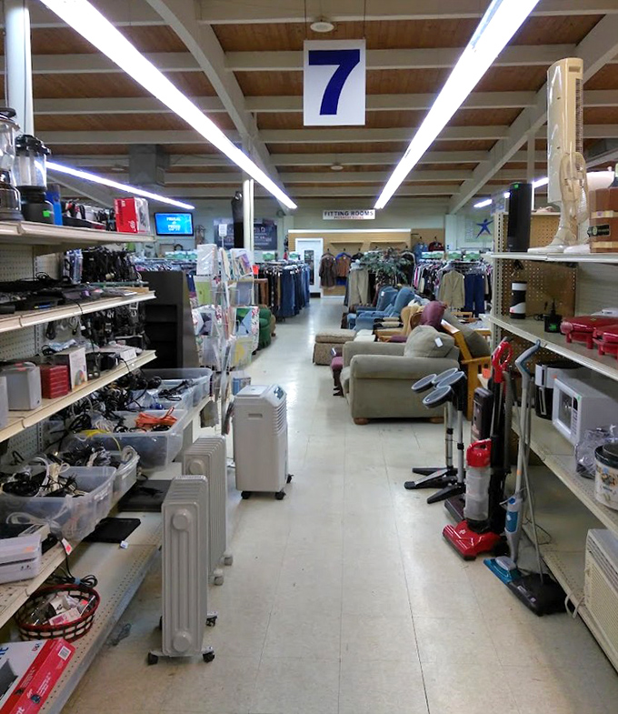 Section 7 beckons with its treasure-lined aisles&mdash;where yesterday's appliances and tomorrow's conversation pieces peacefully coexist.