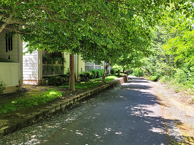 Tree-lined pathways where fallen leaves create nature's confetti. Here, your daily constitutional comes with a side of dappled sunlight and birdsong. 