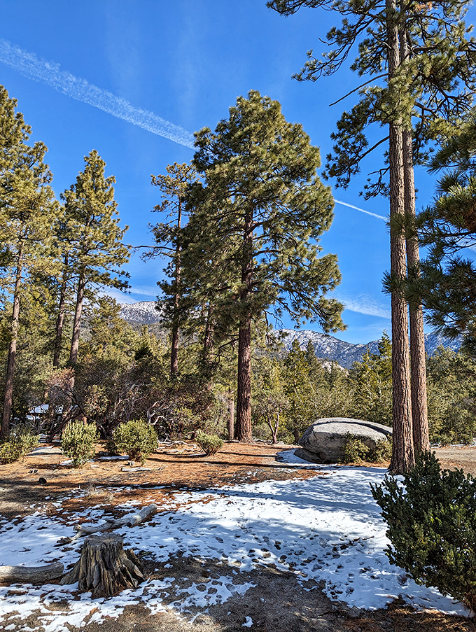 Mother Nature's living room. Patches of snow linger beneath pines while granite boulders serve as natural sculptures in this mountain tableau.