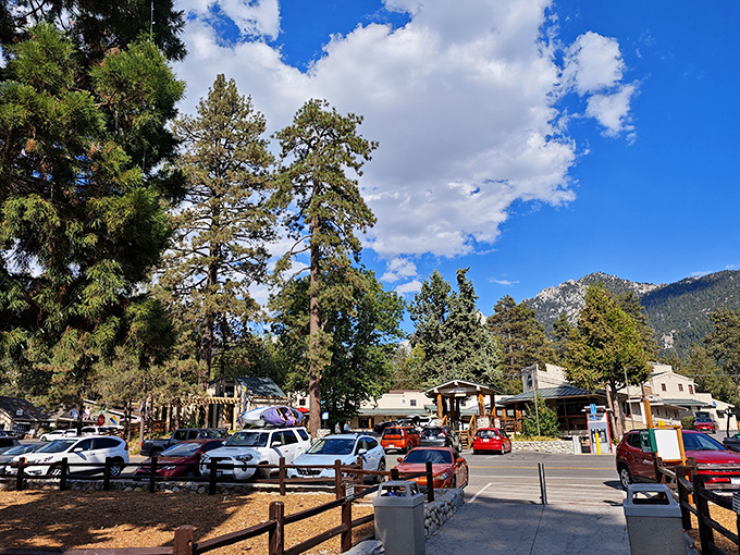 Even the parking lots in Idyllwild come with million-dollar views. Nature doesn't charge extra for those postcard-perfect blue skies.