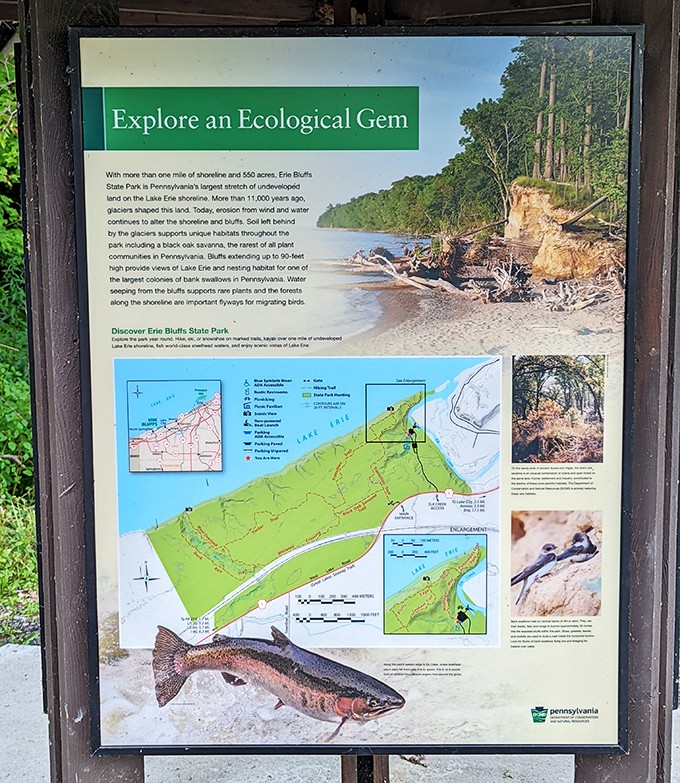 Maps don't just tell you where to go&mdash;they tell you why. This information board reveals Erie Bluffs' 11,000-year geological love story.