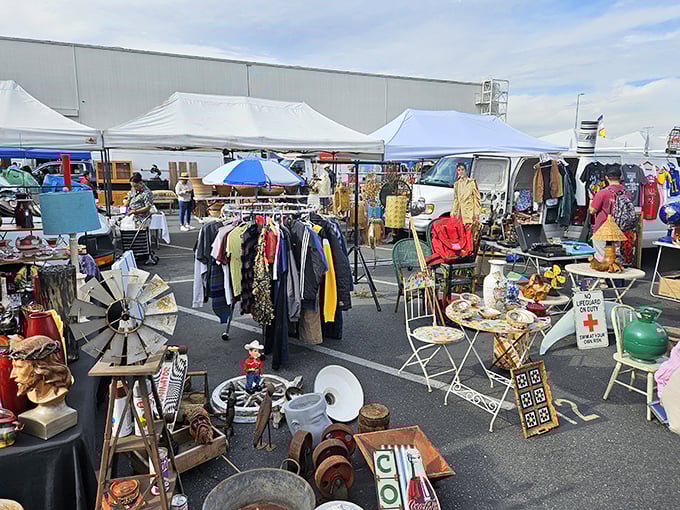 Aisles of possibilities unfold like a choose-your-own-adventure novel written entirely in price tags and memories.