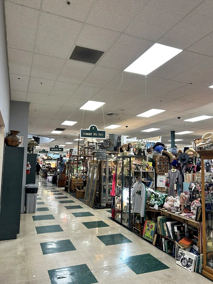 Down the rabbit hole you go! These seemingly endless aisles are where time stands still, but your shopping list definitely won't.