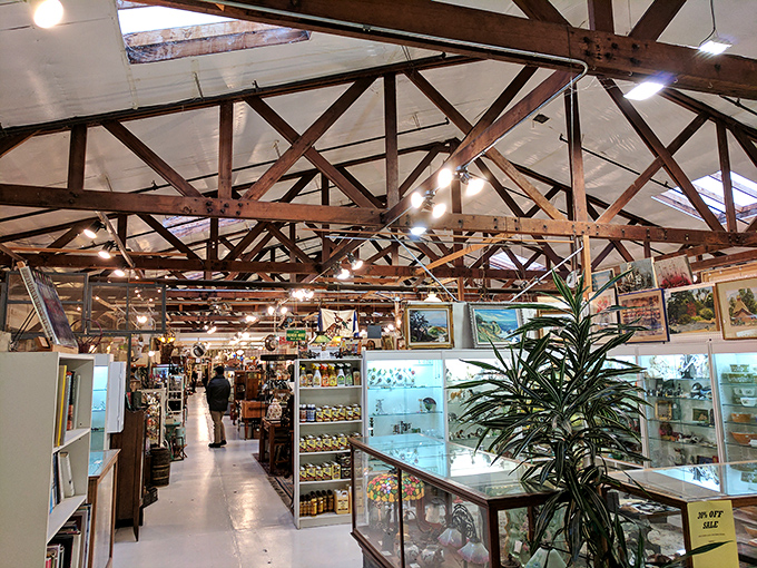 Exposed wooden beams frame endless aisles of possibility. The architectural bones of the building are as much a part of the experience as the treasures below.