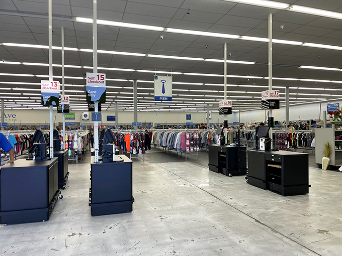 Welcome to the land of endless aisles, where your shopping cart becomes a treasure chest on wheels.