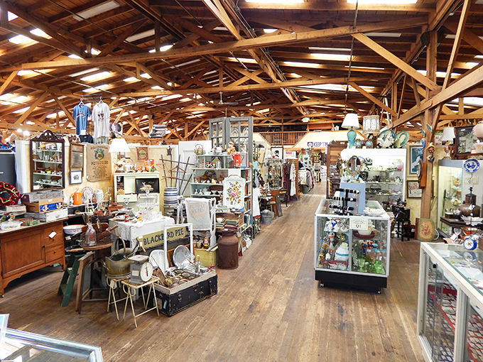 Wooden beams crisscross overhead like the framework of history itself, while below, aisles of memories wait for someone new to adopt them.