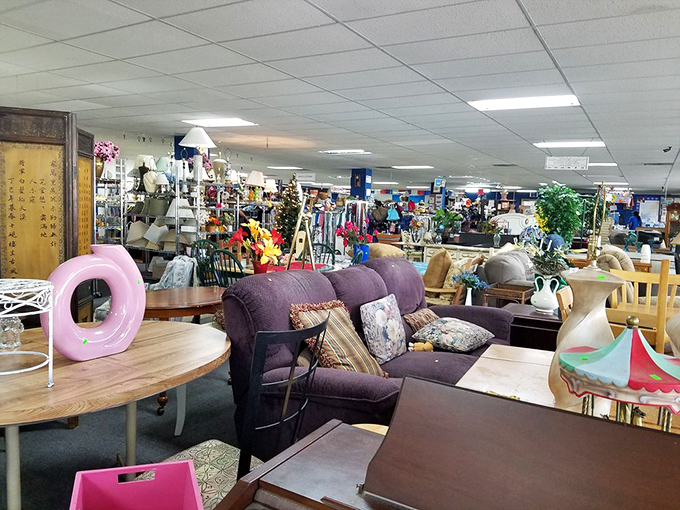 Welcome to the furniture jungle! That purple sofa might have stories to tell, but at these prices, you'll be writing the next chapter.