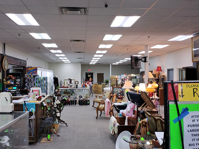 Fluorescent lights illuminate endless possibilities. Like a library of objects where each item has a story waiting for someone to continue its next chapter.