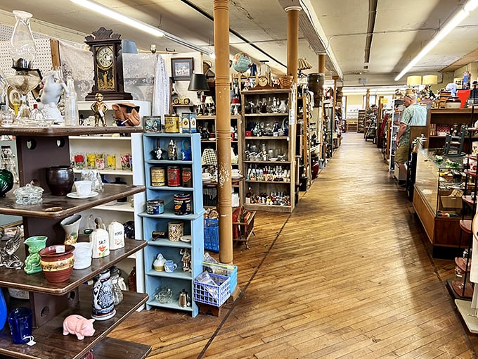 Wooden floors that creak with stories and aisles that invite you to get pleasantly lost among decades of American life.