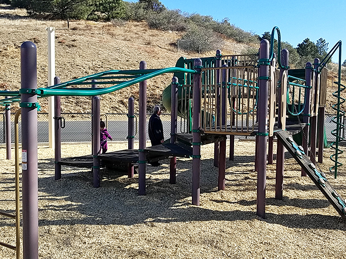 Playground equipment that doesn't require a computer science degree to operate—just good old-fashioned climbing and sliding fun.