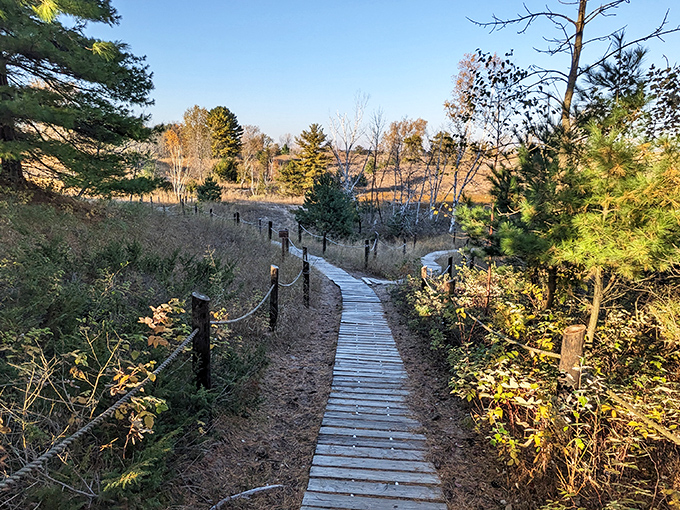 Nature's boardwalk invites you to wander through Kohler-Andrae's dunes, where every step feels like you're discovering Wisconsin's secret coastal treasure.