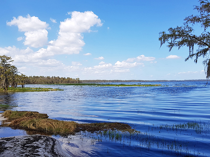 Reflections so perfect you'll wonder which way is up. Lake Louisa's waters offer a mirror to the sky that Instagram filters can't improve.