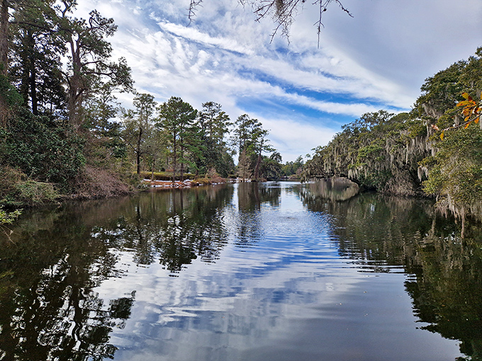 Mirror, mirror on the pond—Airlie's tranquil waters reflect cypress trees and Spanish moss in a display that would make Bob Ross reach for his happy brushes.
